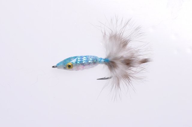 Twinkle Tube Fish Blue # 6 - Kystfluer - Fluer.dk