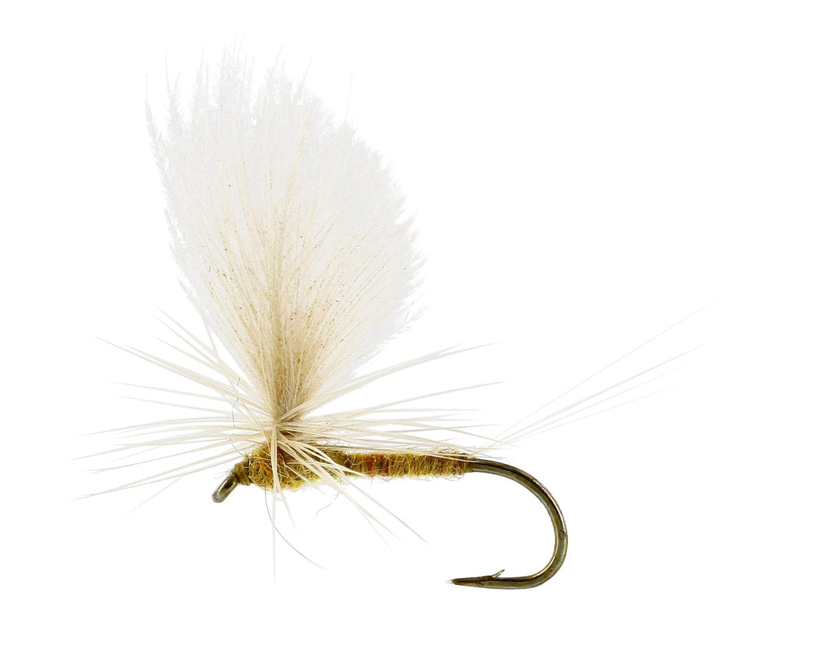 Unique Flies Sulphurea Dun Ginger, TMC100